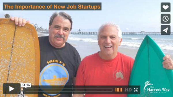 The Importance of New Job Startups - Harvest Group